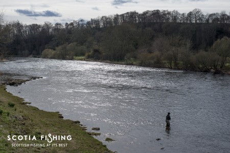 River Tweed Fishing Guide and Fly Fishing Instructor