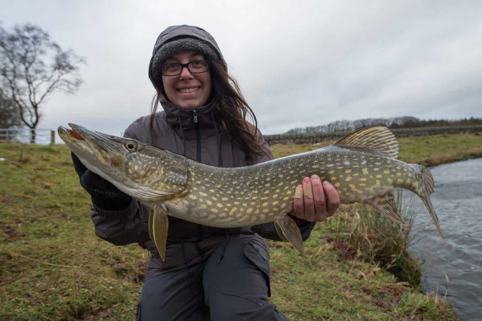 Guided Pike Fishing Trips in Scotland
